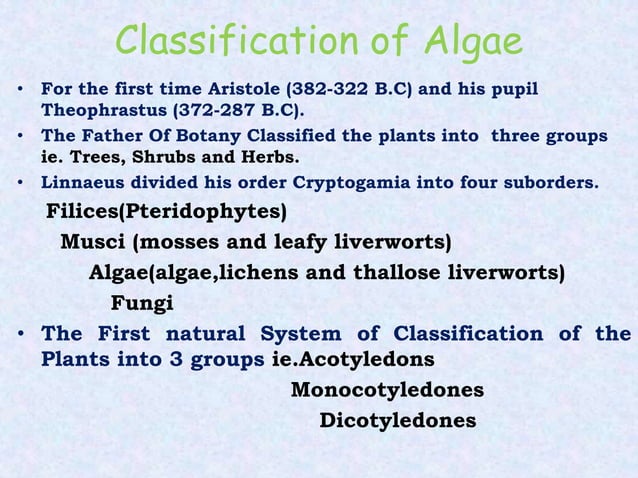 Classification of Algae | PPTX | Geography | Science