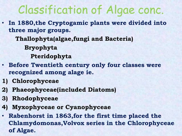 Classification of Algae | PPTX | Geography | Science