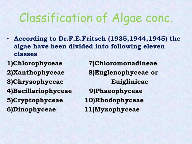 Classification of Algae | PPTX | Geography | Science