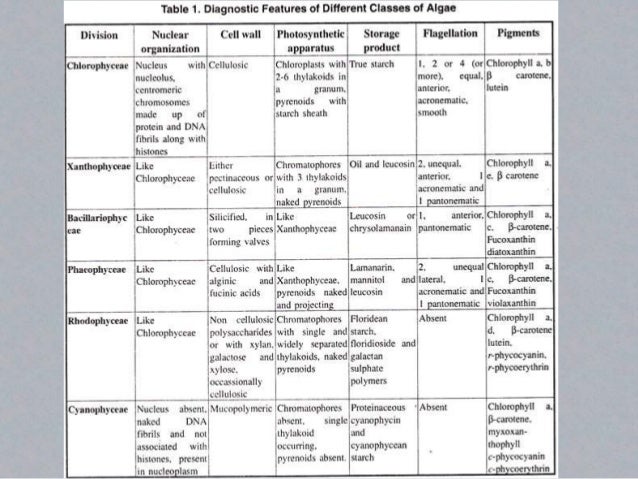 Classification of Algae