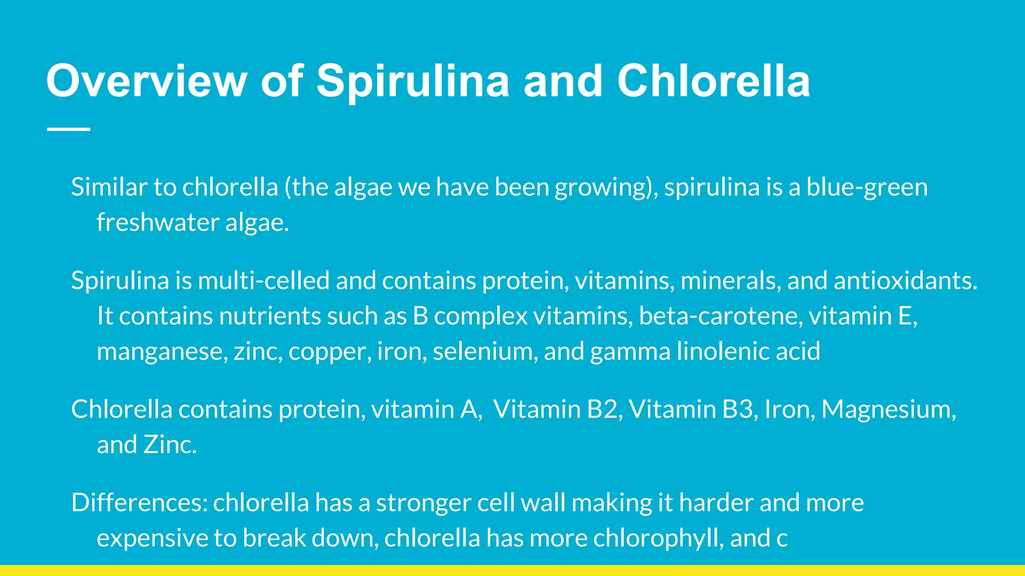Algae presentation | PPTX | Nutrition | Healthy Living