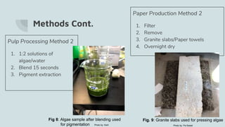 Algae product | PPTX