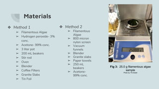 Algae product | PPTX