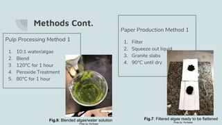 Algae product | PPTX