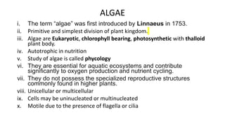 ALGAE & PROTOZOA1 seminar prepared by student.pptx | Biological ...