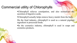 Algae resource potemtial and commercial utility.pptx