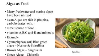 Algae resource potemtial and commercial utility.pptx
