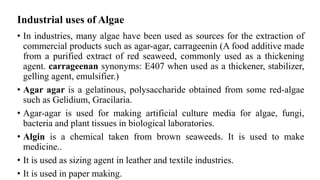 Algae resource potemtial and commercial utility.pptx