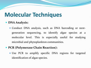 Sampling methodology of micro and macro algae | PPTX