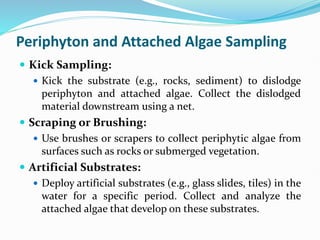 Sampling methodology of micro and macro algae | PPTX