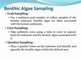 Sampling methodology of micro and macro algae | PPTX