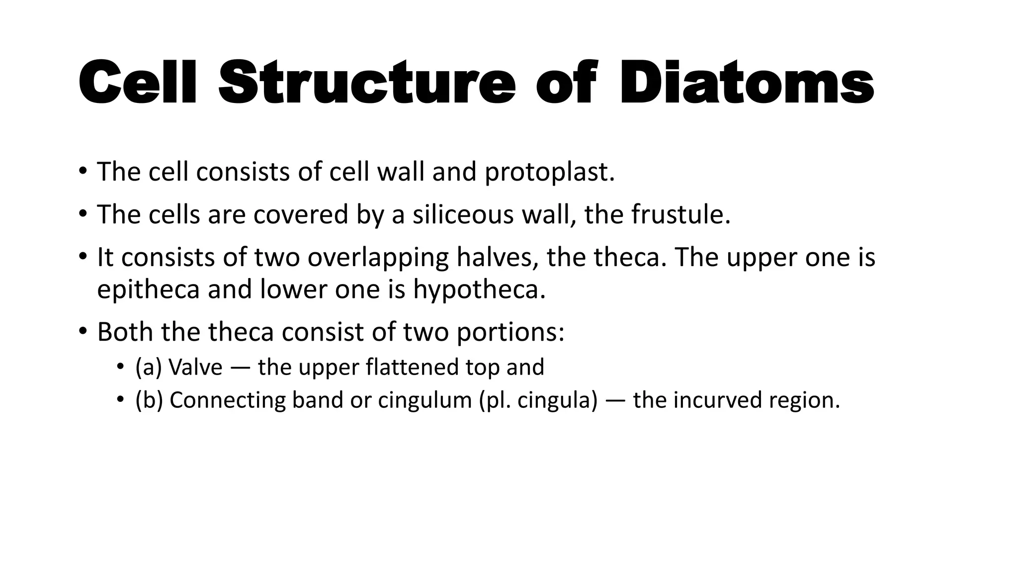 Algae (Sargassam , Porphyra , and Diatoms) | PPTX