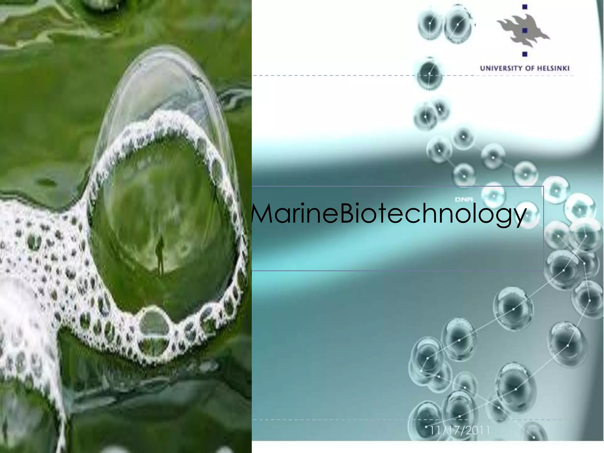 Marine Biotechnology/Algae | PPTX