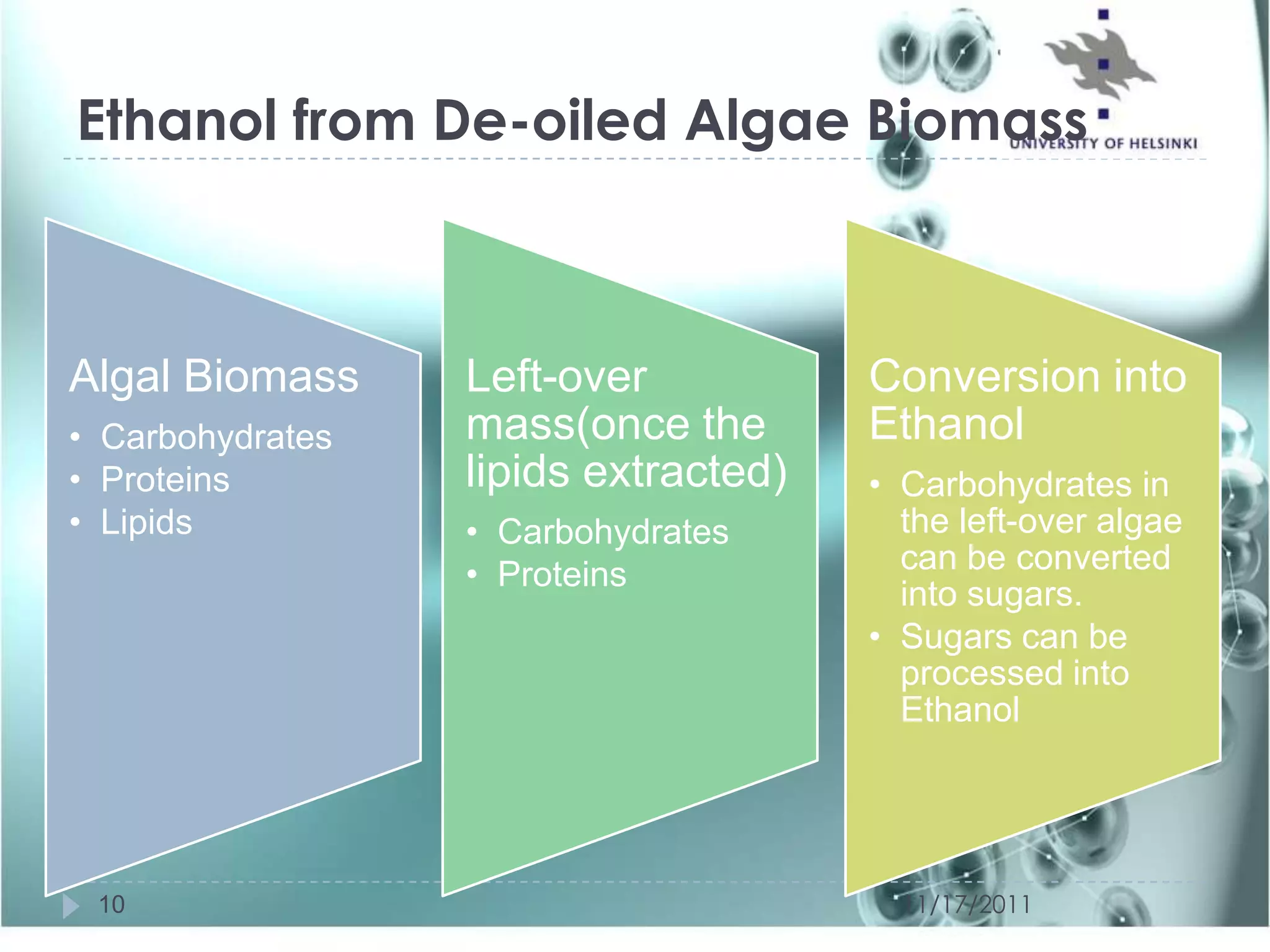 Marine Biotechnology/Algae | PPTX