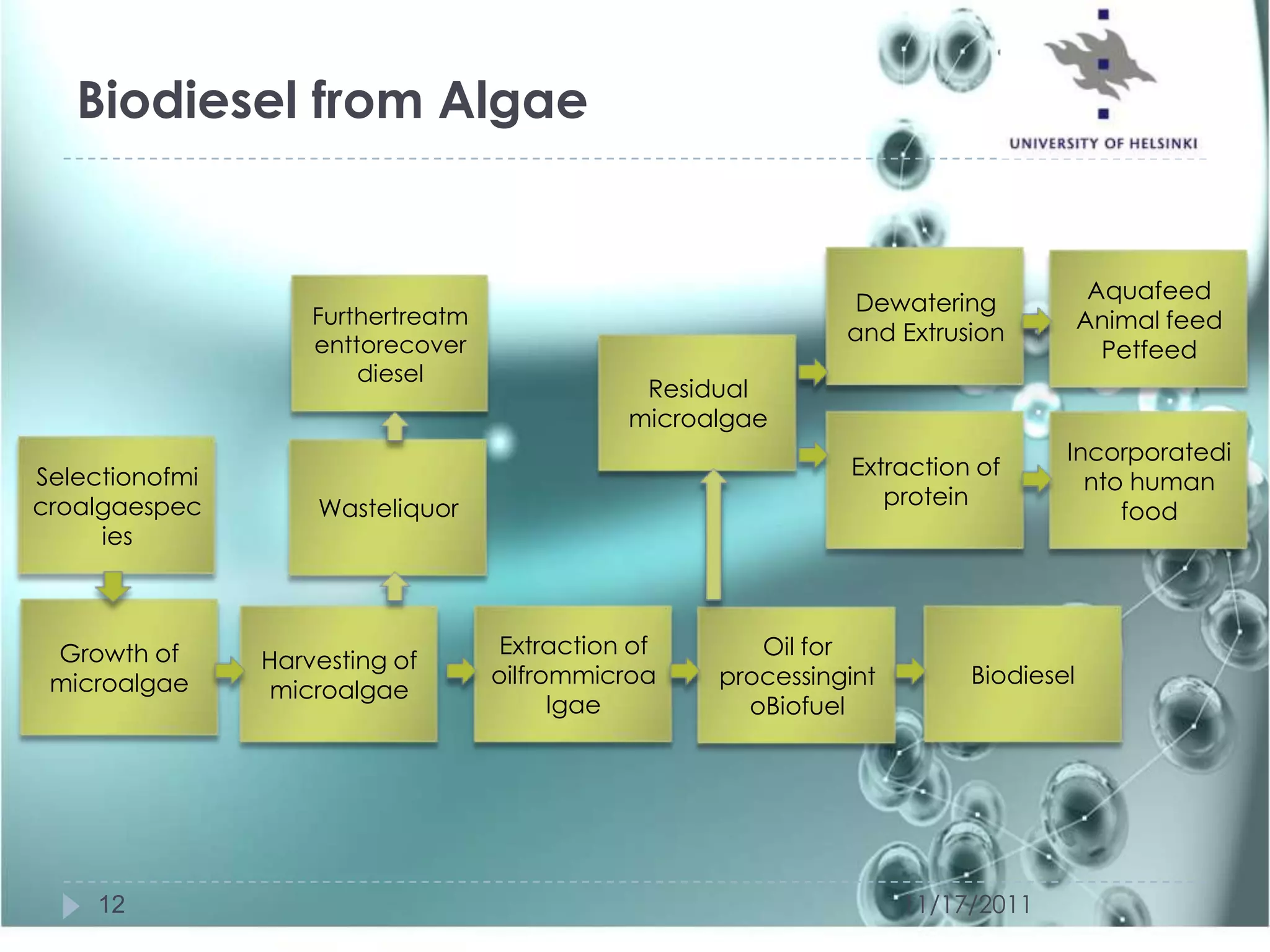 Marine Biotechnology/Algae | PPTX