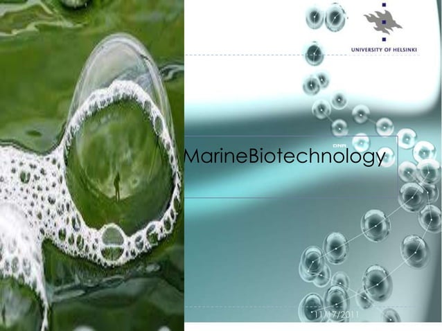 Marine Biotechnology/Algae | PPTX | Chemistry | Science