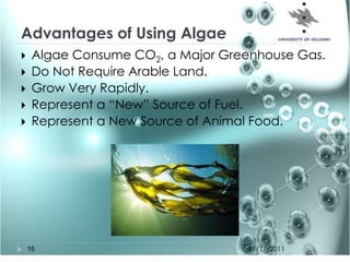 Marine Biotechnology/Algae | PPTX