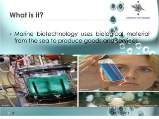 Marine Biotechnology/Algae | PPTX