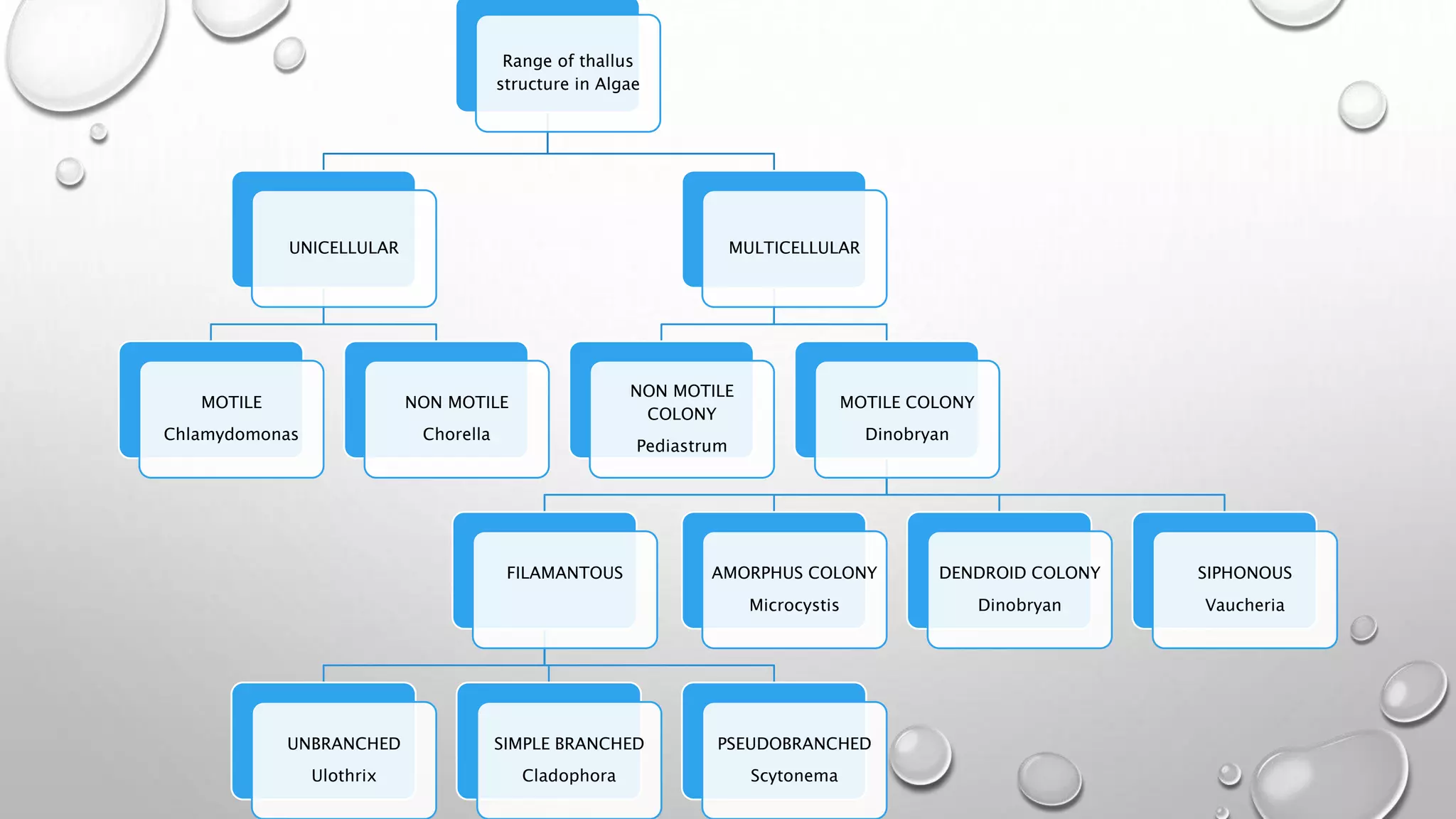 algae uses of algae types of algae reproduction of algae | PPTX