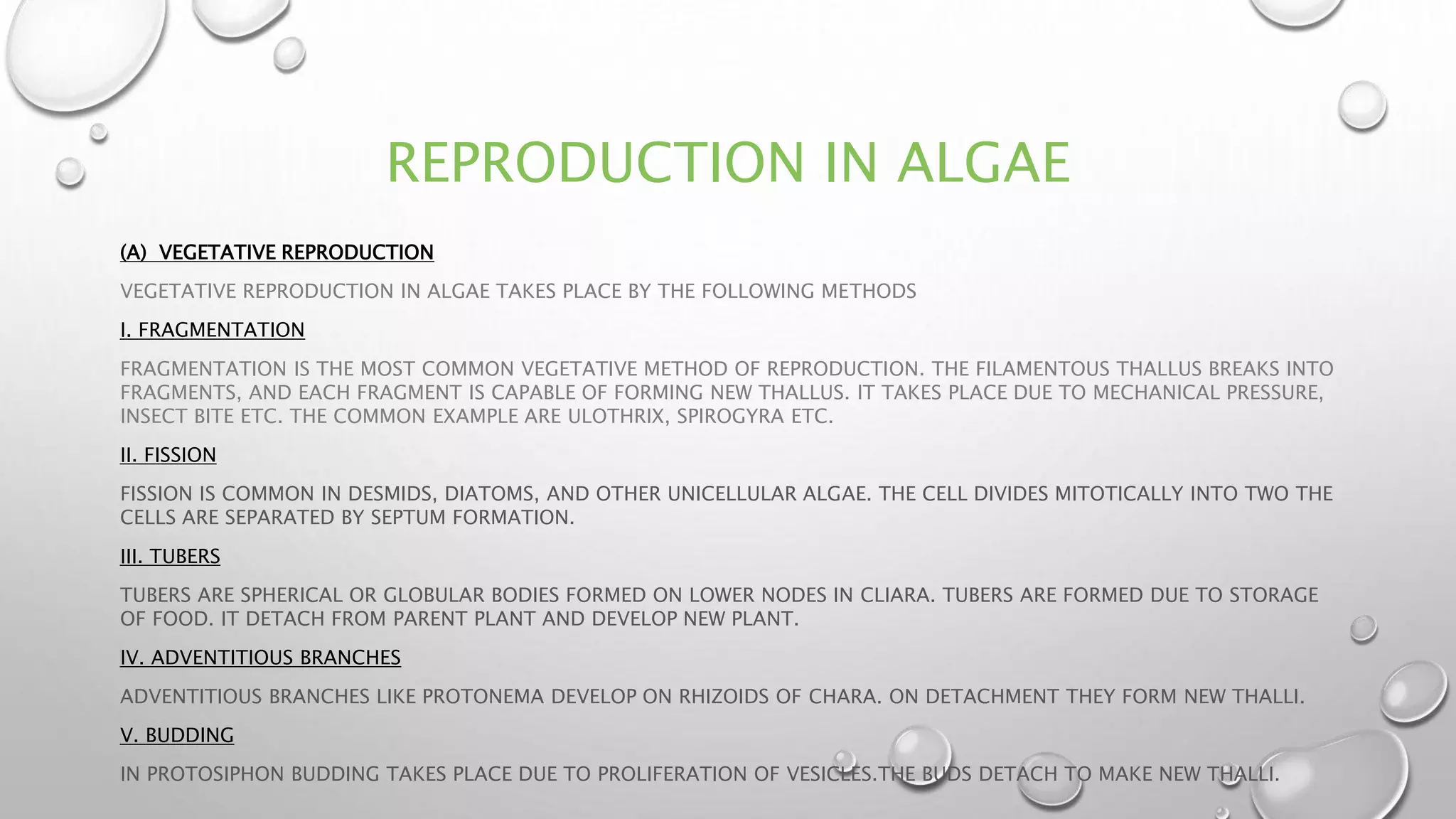 algae uses of algae types of algae reproduction of algae | PPT