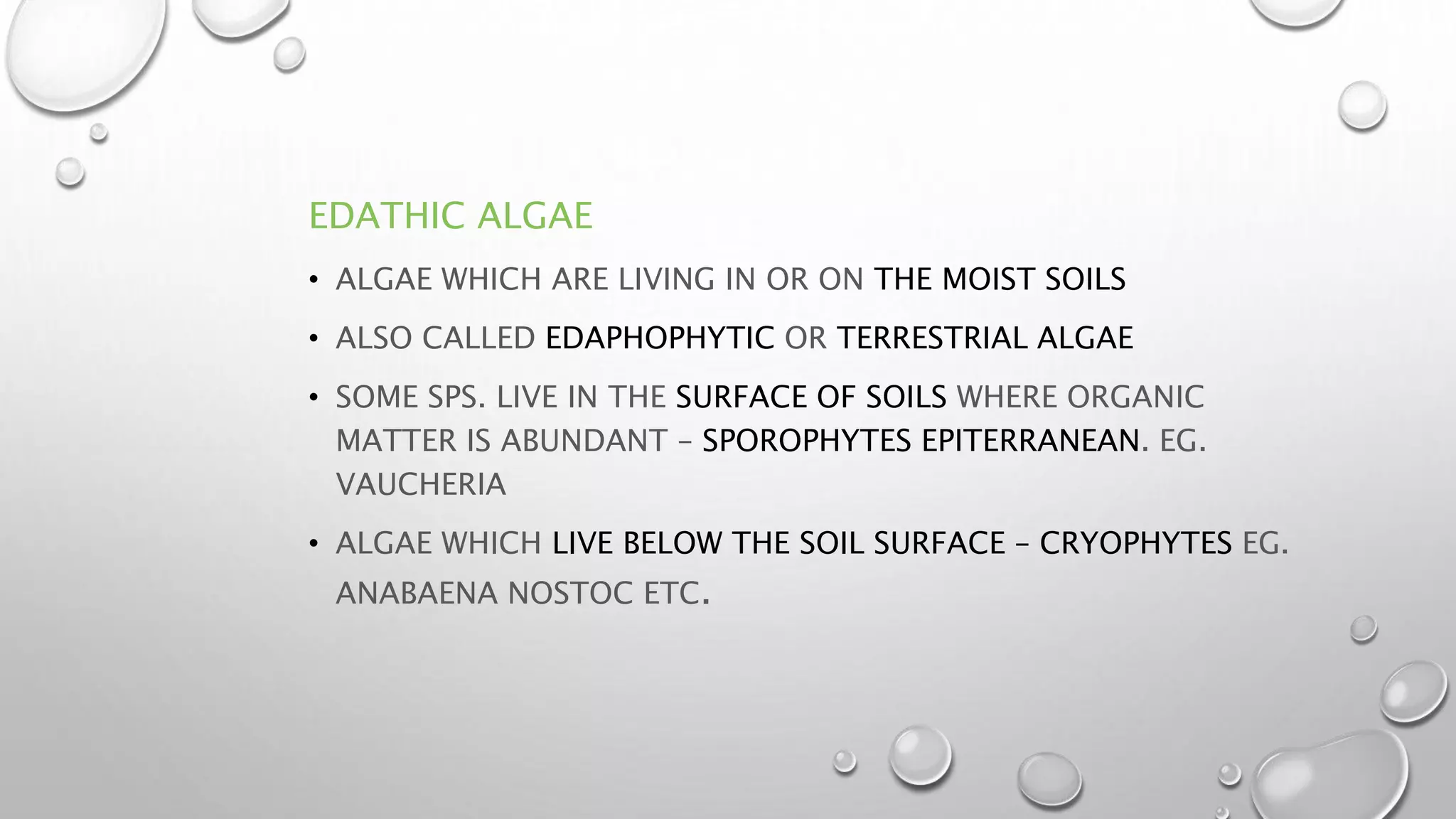 algae uses of algae types of algae reproduction of algae | PPTX