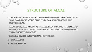 algae uses of algae types of algae reproduction of algae | PPT
