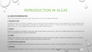 algae uses of algae types of algae reproduction of algae | PPT