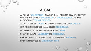 algae uses of algae types of algae reproduction of algae | PPT