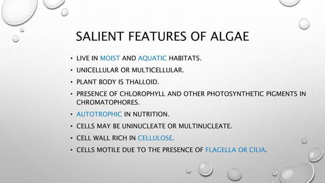 algae uses of algae types of algae reproduction of algae | PPT