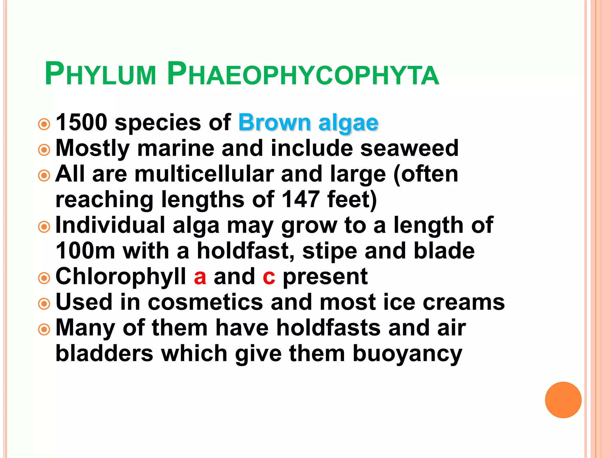 Algae: general characters and classification | PPTX