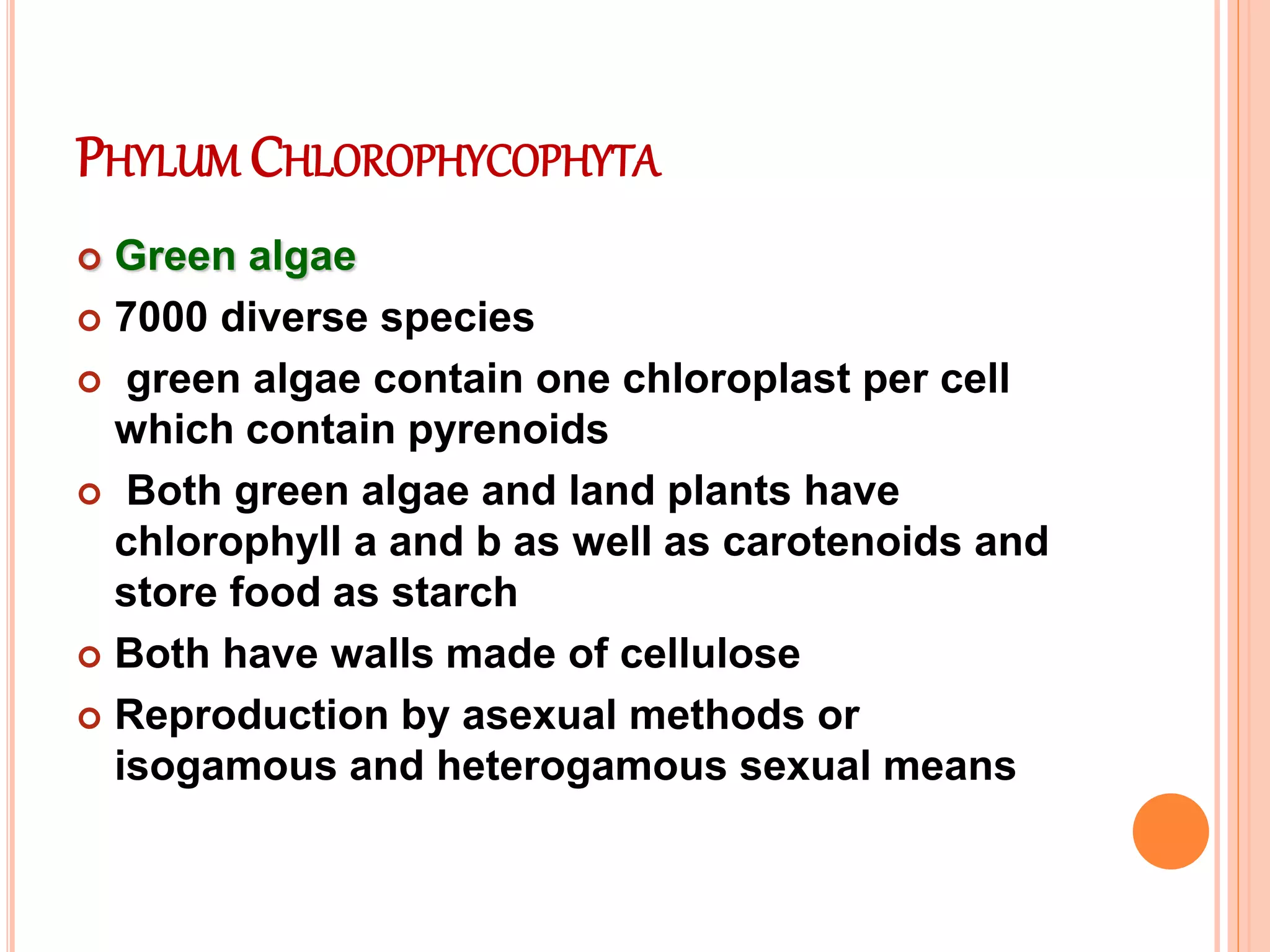 Algae: general characters and classification | PPTX