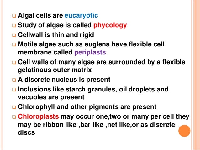 Algae General Characters And Classification