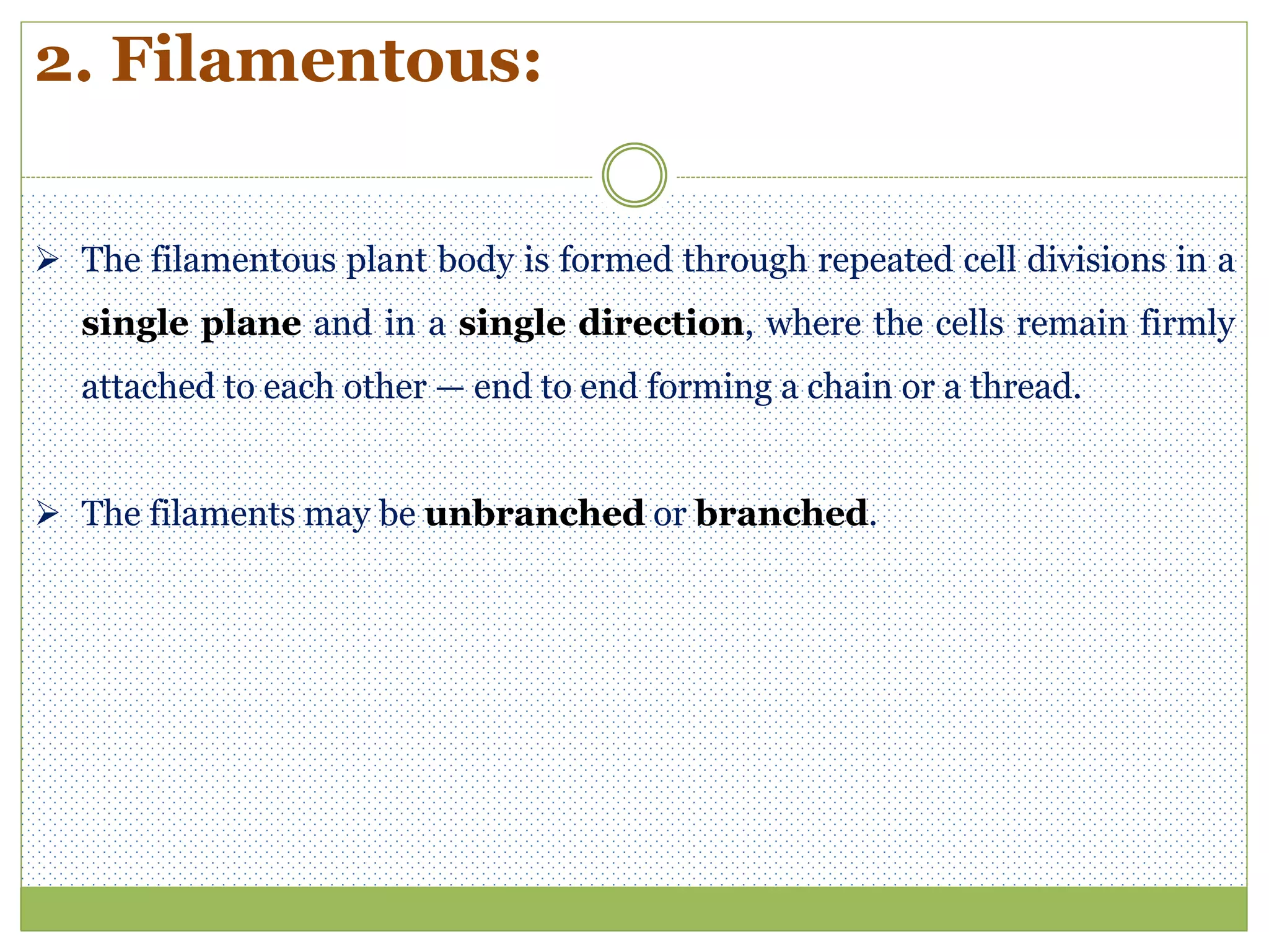 Algae thallus | PPTX