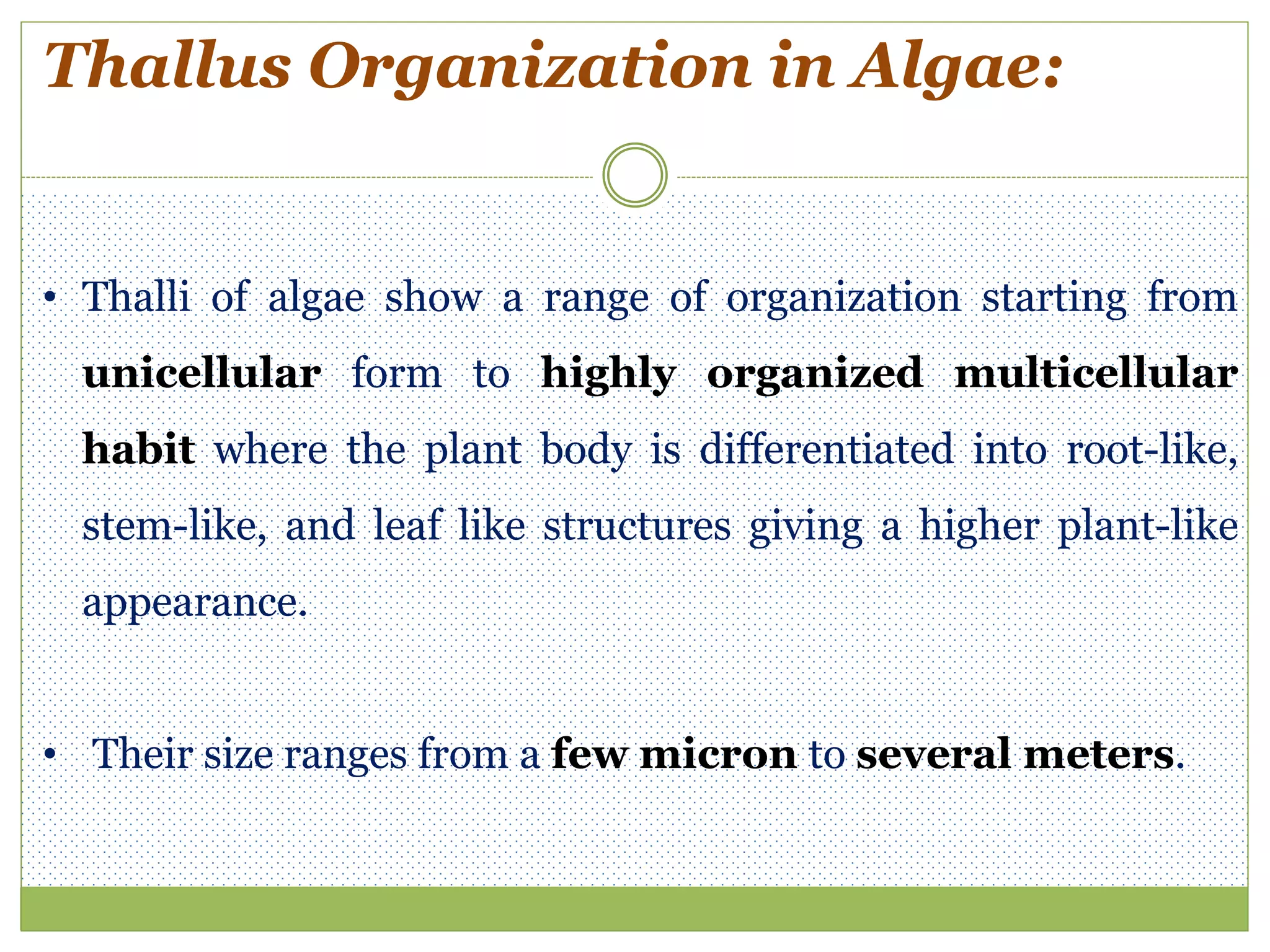 Algae thallus | PPTX