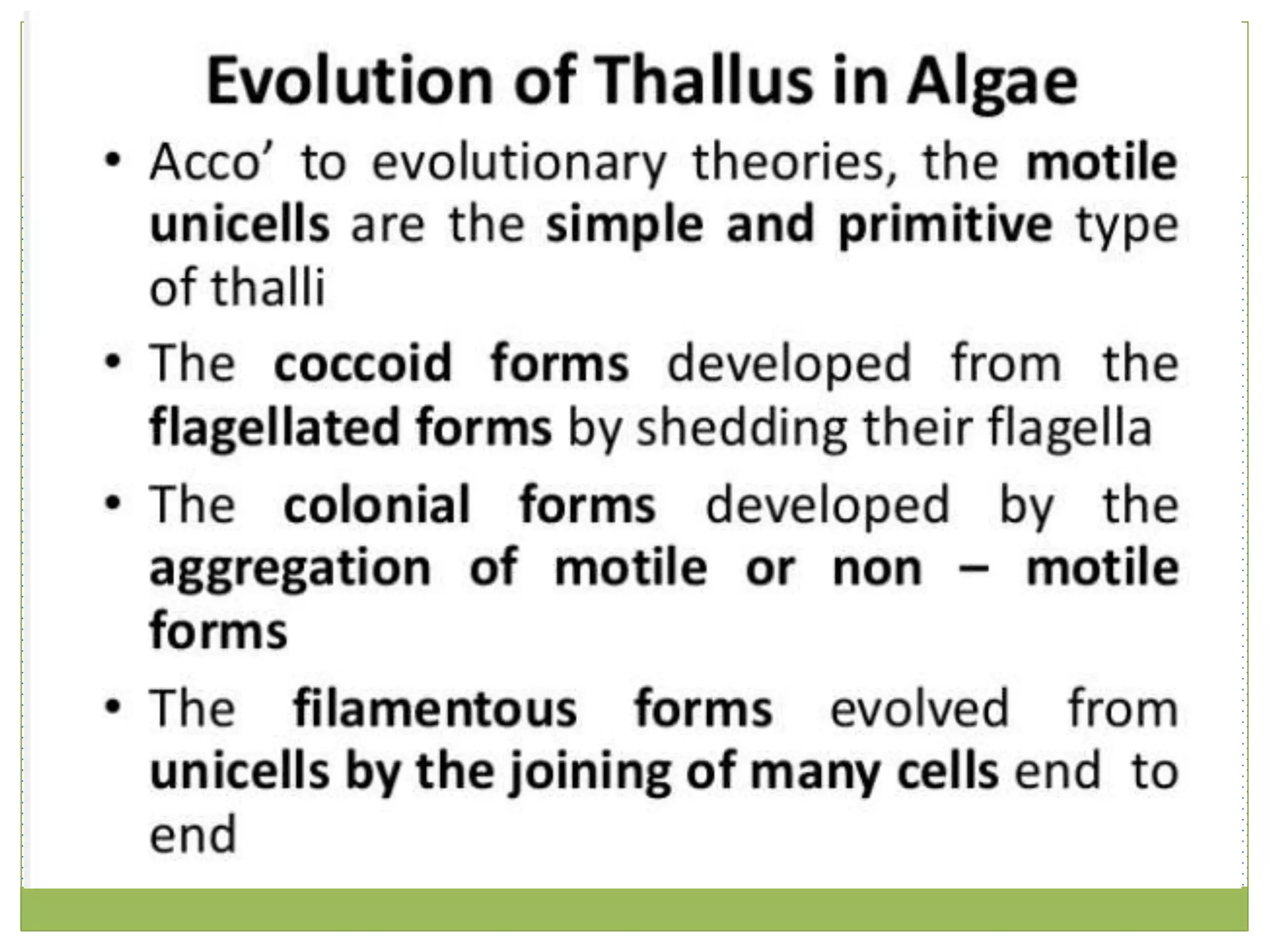 Algae thallus | PPTX