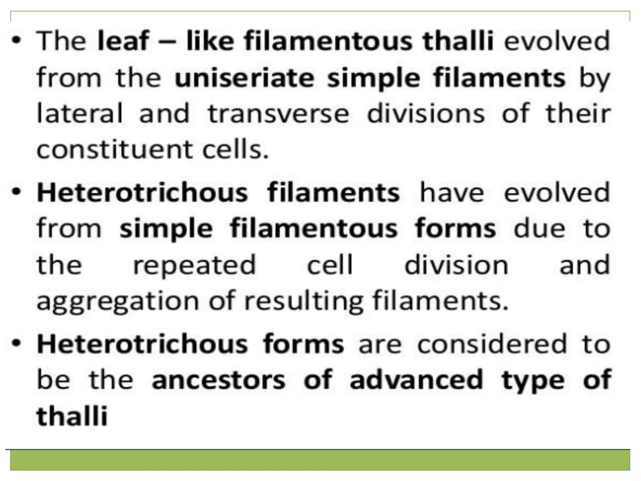 Algae thallus | PPTX
