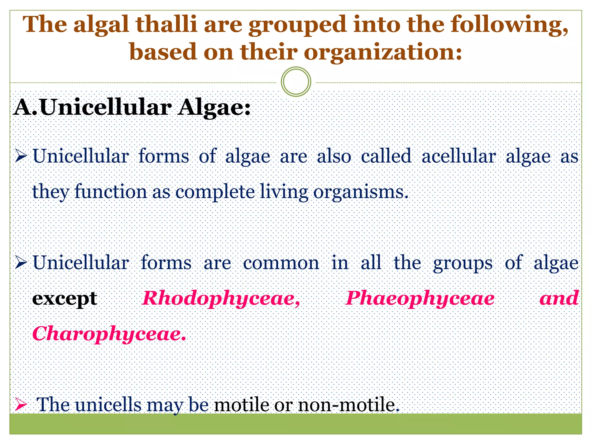 Algae thallus | PPTX