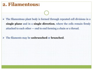 Algae thallus | PPTX