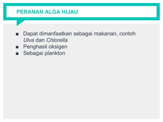 Alga hijau | PPT