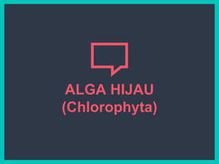 Alga hijau | PPT