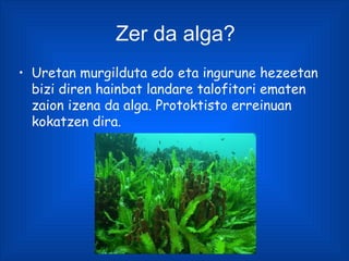 Algak2 | PPT