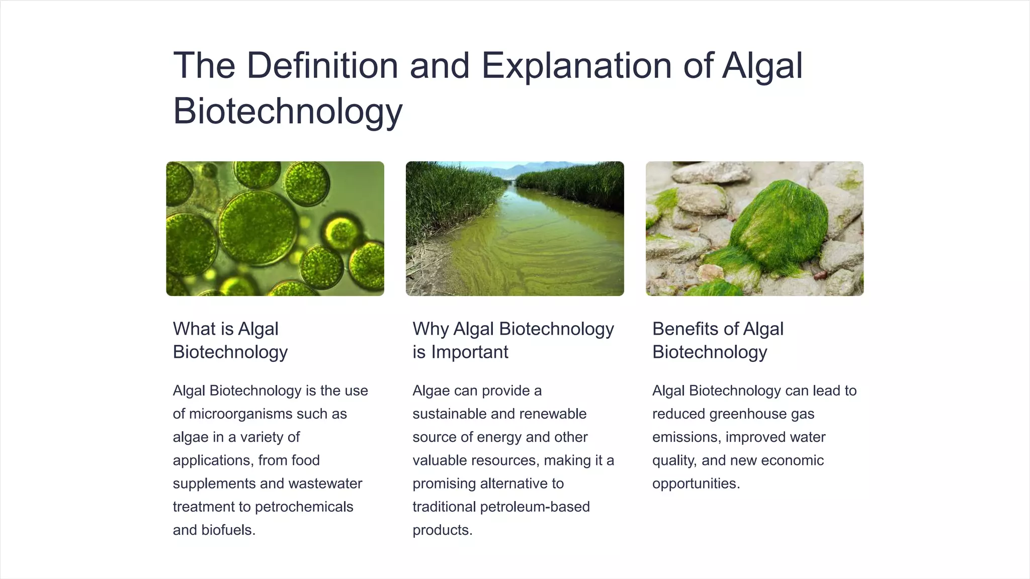 Algal-Biotechnology-and-its-Scope.pptx