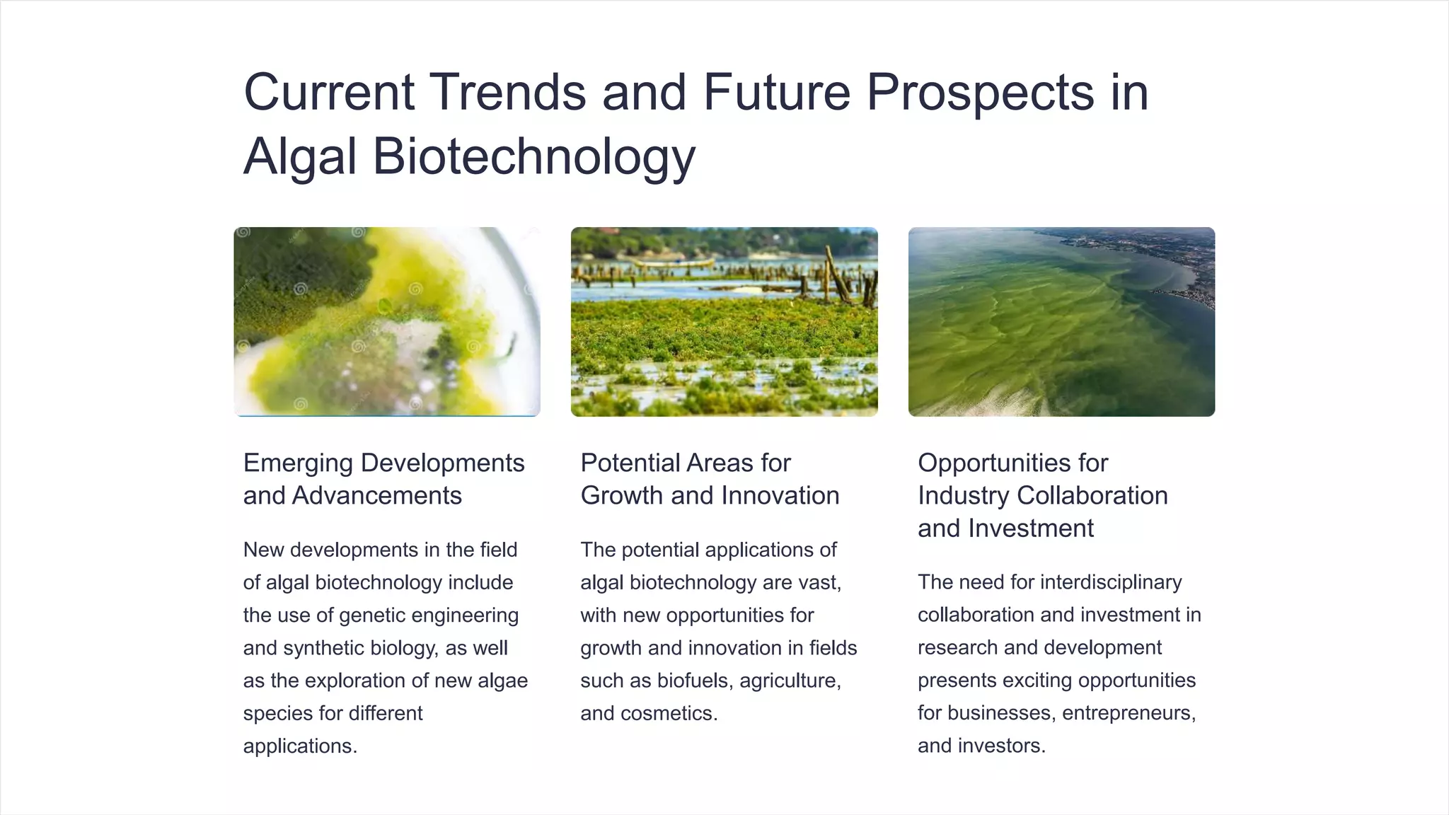 Algal-Biotechnology-and-its-Scope.pptx