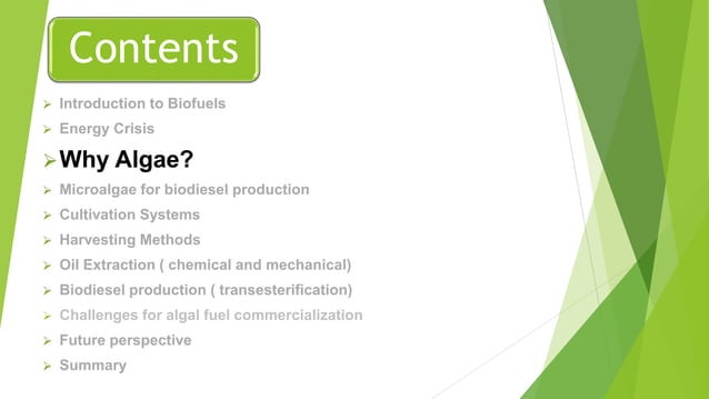 Algal biodiesel | PPT
