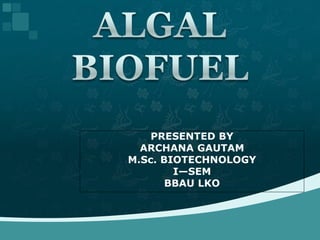Algal biofuel | PPTX
