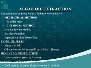 Algal biofuel | PPTX