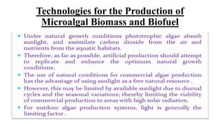 Algal Biofuel Production | PPT