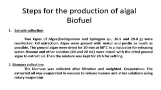 Algal Biofuel Production | PPT