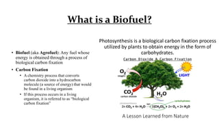 Algal Biofuel Production | PPTX