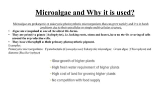 Algal Biofuel Production | PPT